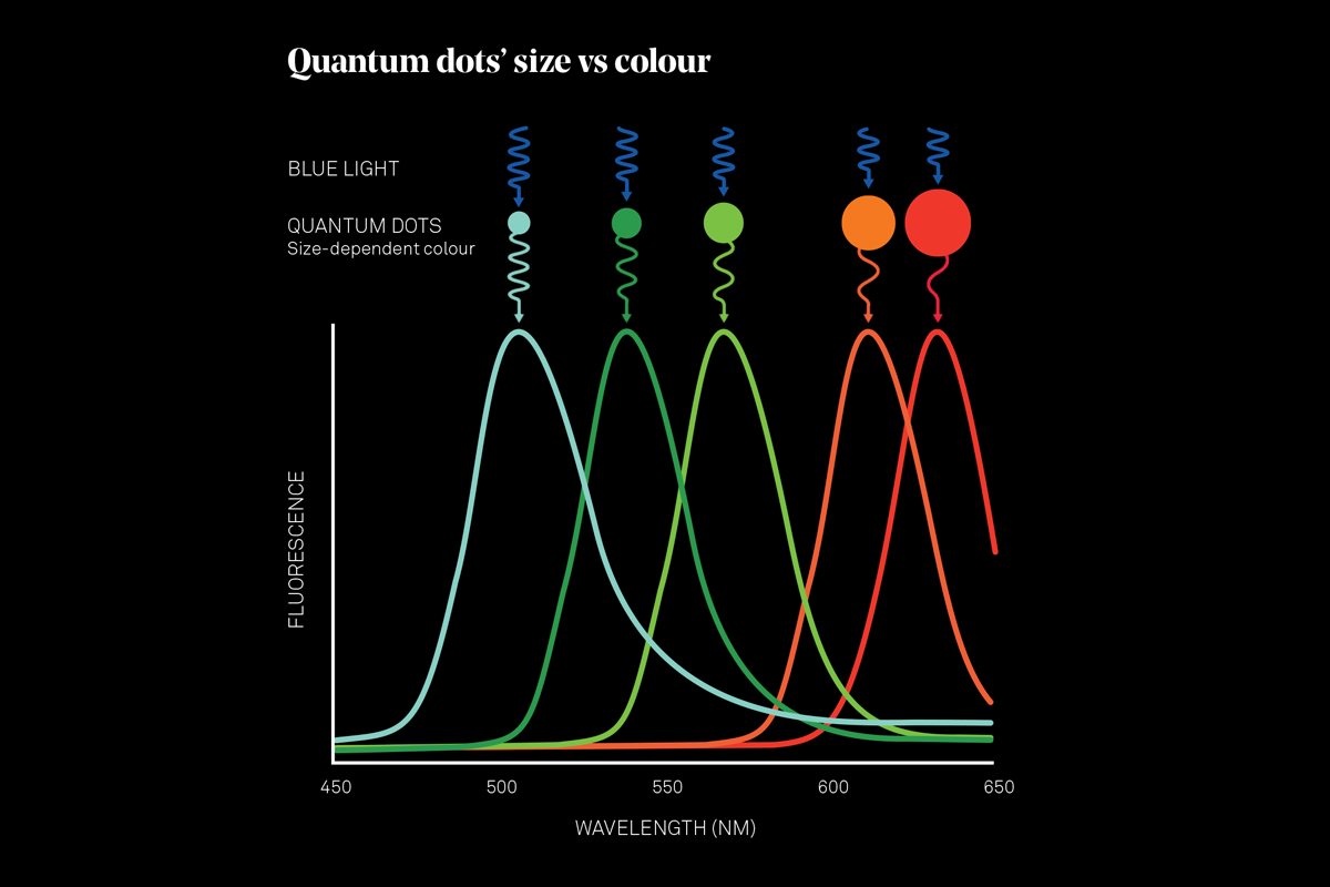 Quantum Dots A New Dimension In Diagnostics Team Consulting